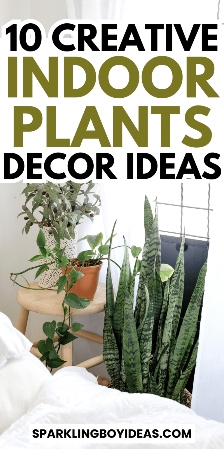 10 Creative Ideas For Indoor Plant Decor - Sparkling Boy Ideas