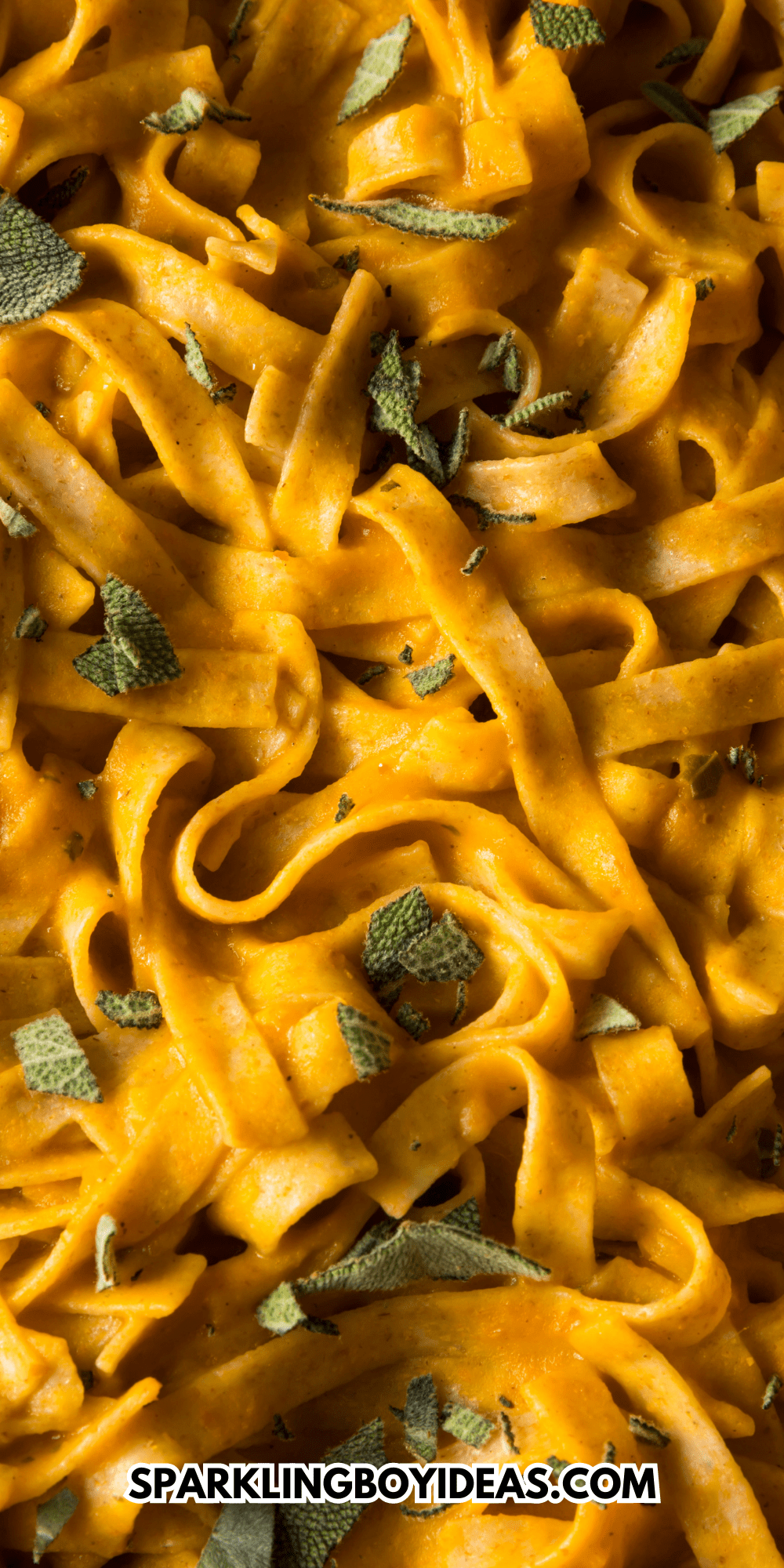 Creamy Pumpkin Sage Pasta - Sparkling Boy Ideas