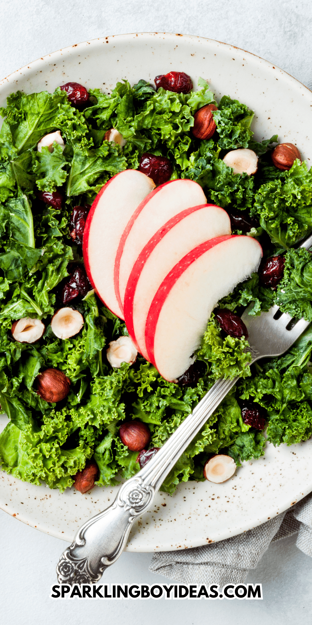 Kale Hazelnut Cranberry Salad - Sparkling Boy Ideas