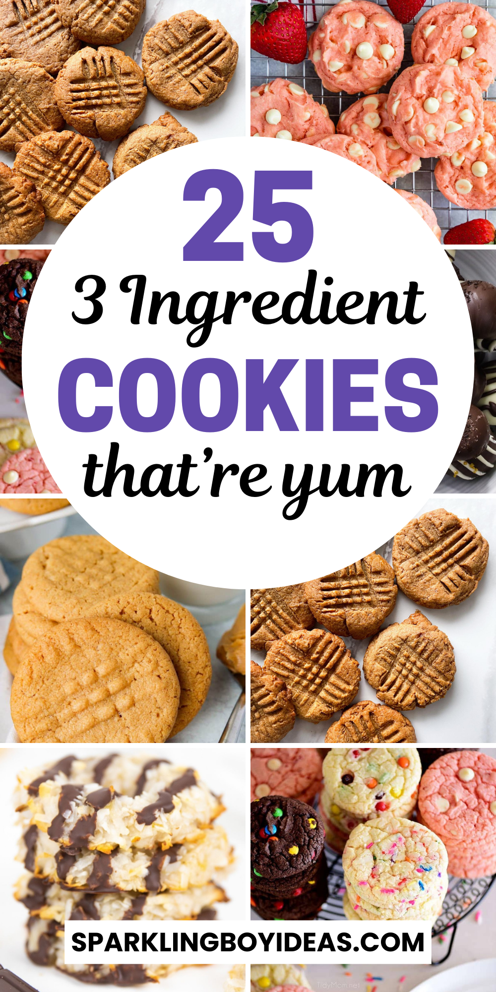 25 Simple Easy 3 Ingredient Cookies - Sparkling Boy Ideas